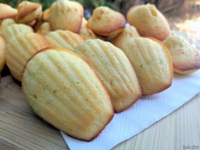 Traditional French Madeleines · Bake After Recipe