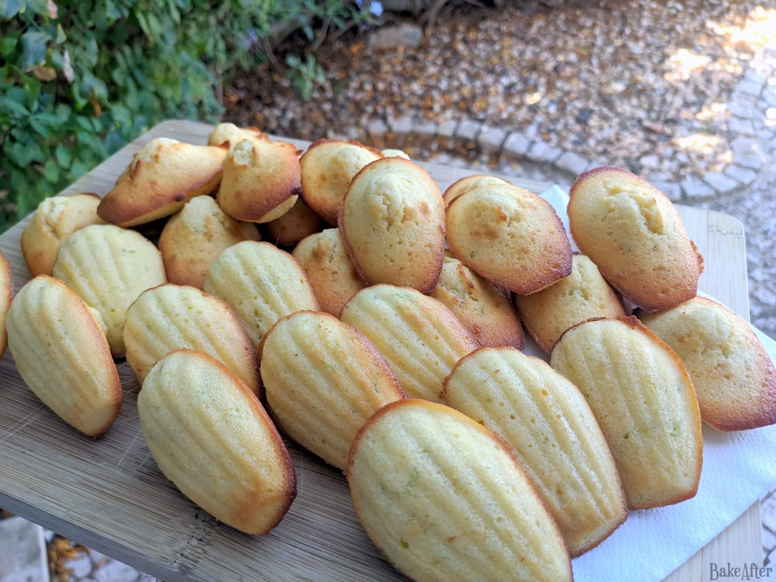 Traditional French Madeleines · Bake After Recipe