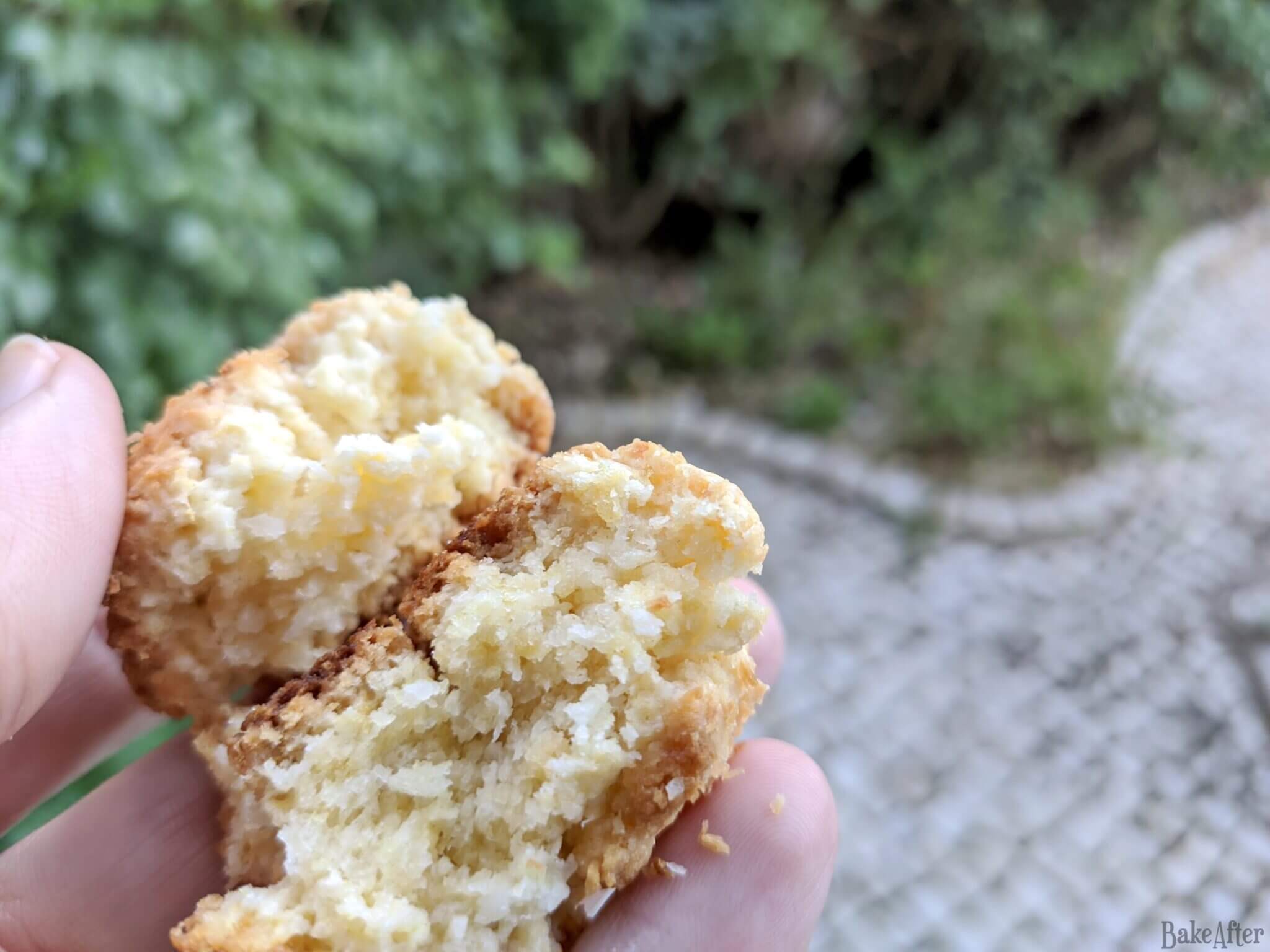 Portuguese Coconut Cookies · Bake After Recipe