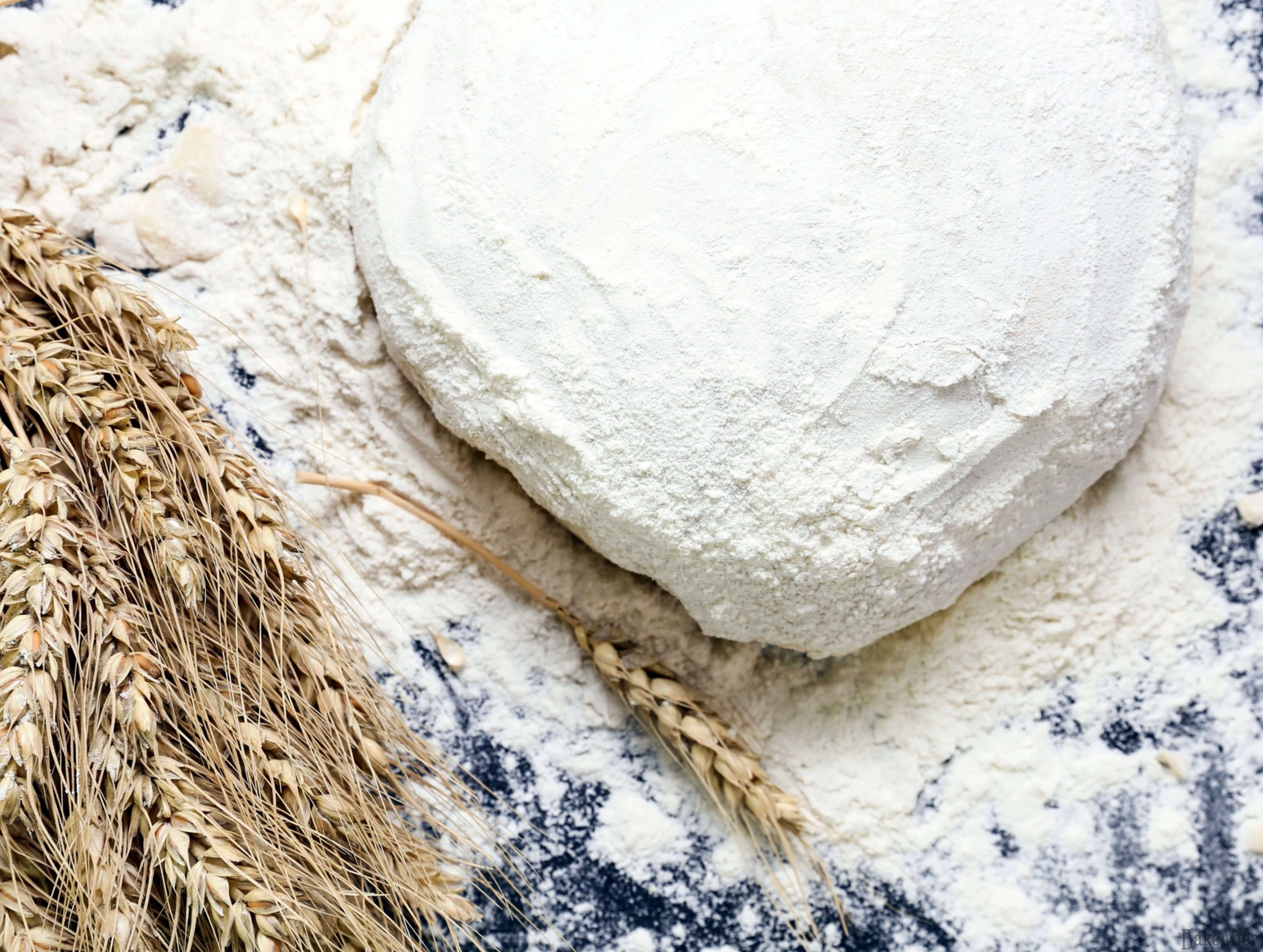 The Complete Guide to Yeast, Leavening Agents, and Baking Powder · Bake ...